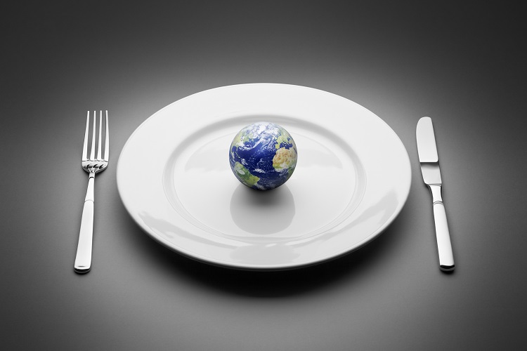 The Future of Global Food Production Amidst Military Conflicts ...