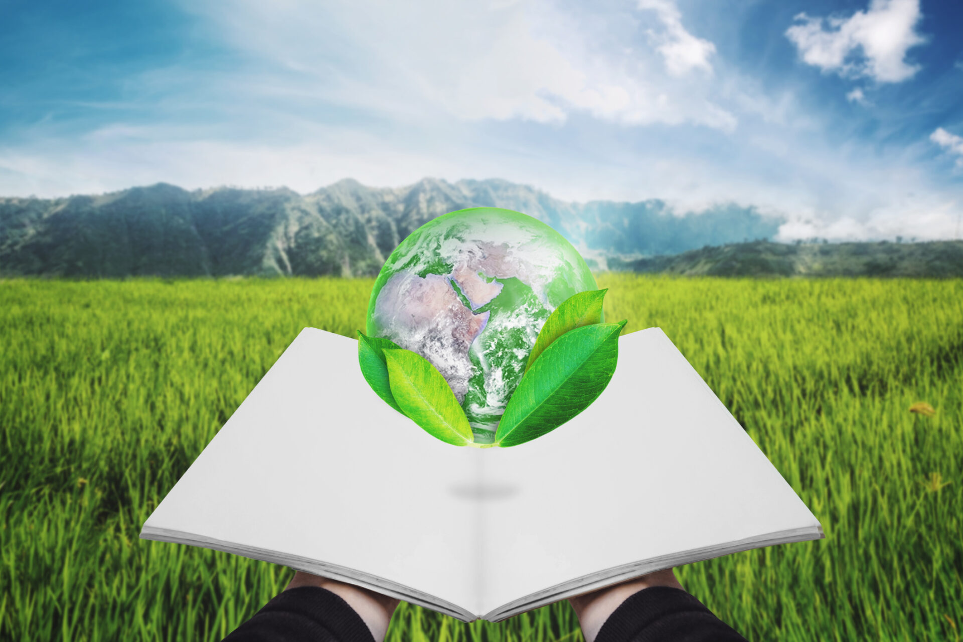 Overlooked Nutrients Given Spotlight in Innovative Nordic Nutrition ...