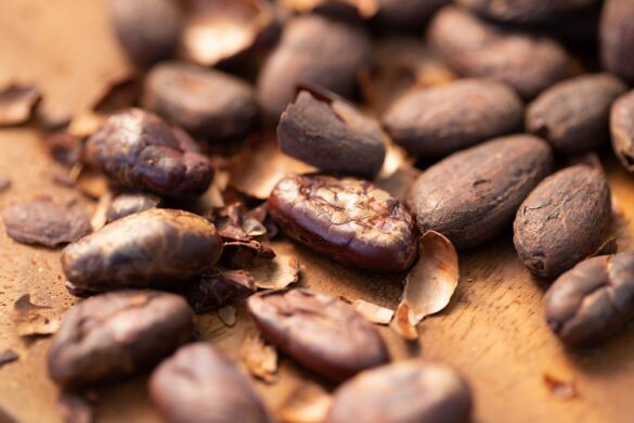 Nestlé and Cargill collaborate to transform cocoa shells into eco ...