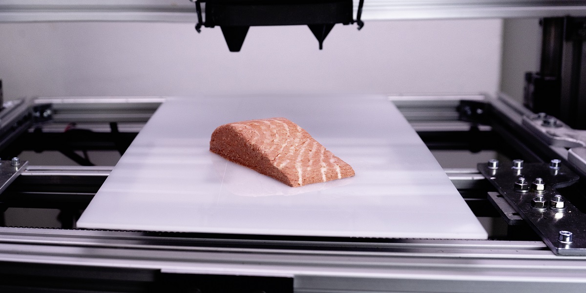 'Cutting-Edge Start-up Praises 3D Food Printing as the Future of ...