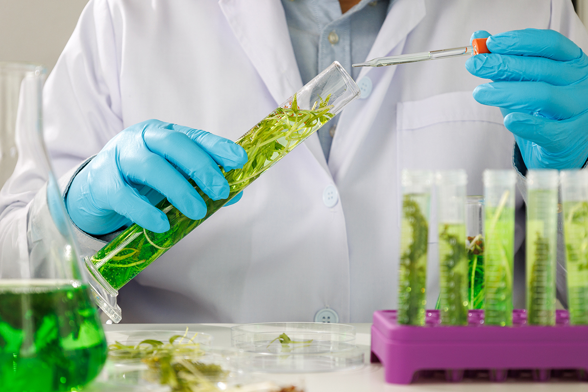 Advancing Food Safety: The Role of Microbiology and Testing - Food and ...