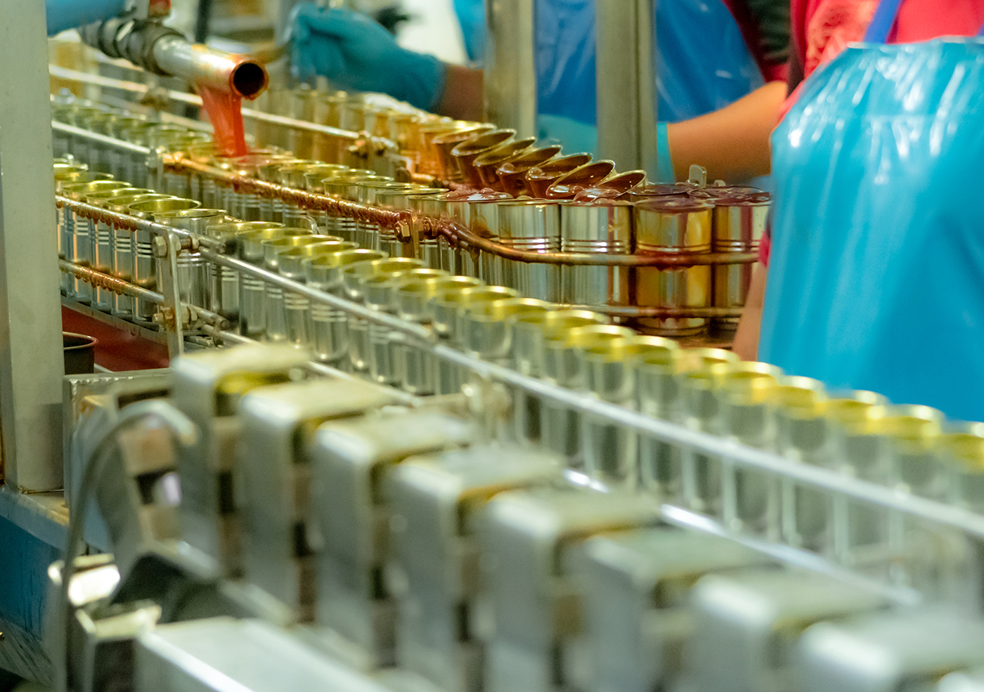 The Unsung Hero Of Your Beverage Can Decoding The Vp Can Gasketfeed
