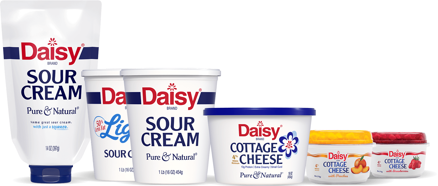 Daisy Brand, a US dairy manufacturer, plans to construct a new ...