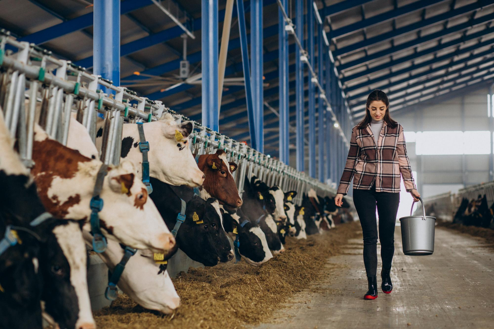 Denmark's Livestock Emissions Tax Approved by Parliament - Food and ...