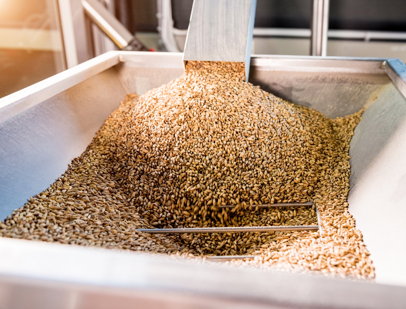 The Future of Food Ingredients: Innovation, Sustainability, and Market ...