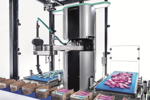 The Future of Food Ingredients: Innovation, Sustainability, and Market ...